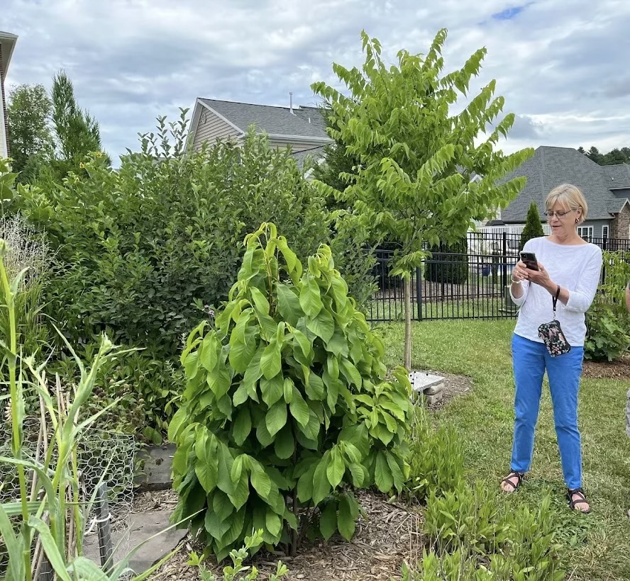 Sustainable BlacksburgGlaser and Paulson Gardens
